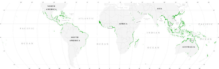 Global Distribution of Mangroves - GEO Wetlands